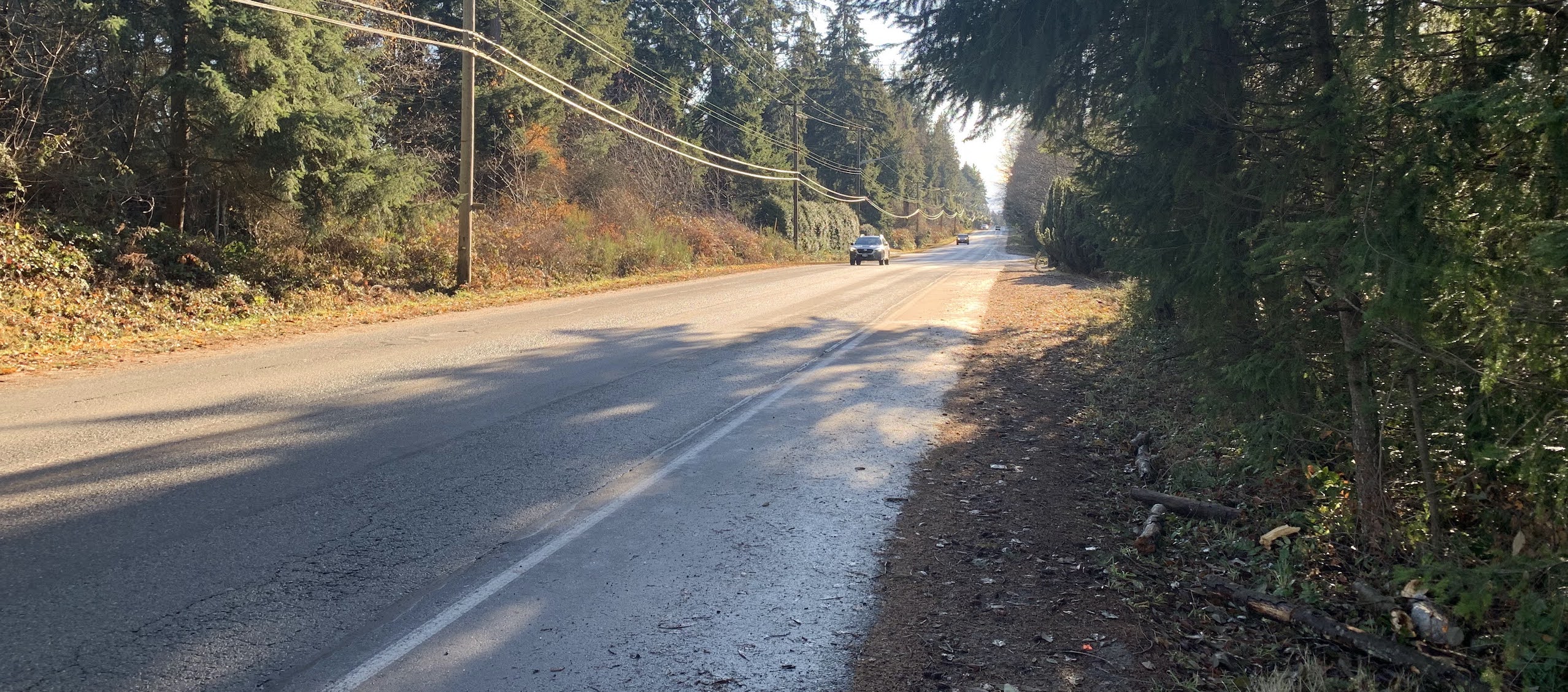 Area E Roads - Elphinstone Community Association